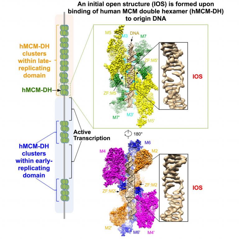 Cryo-EM facility – Division of Life Science, HKUST