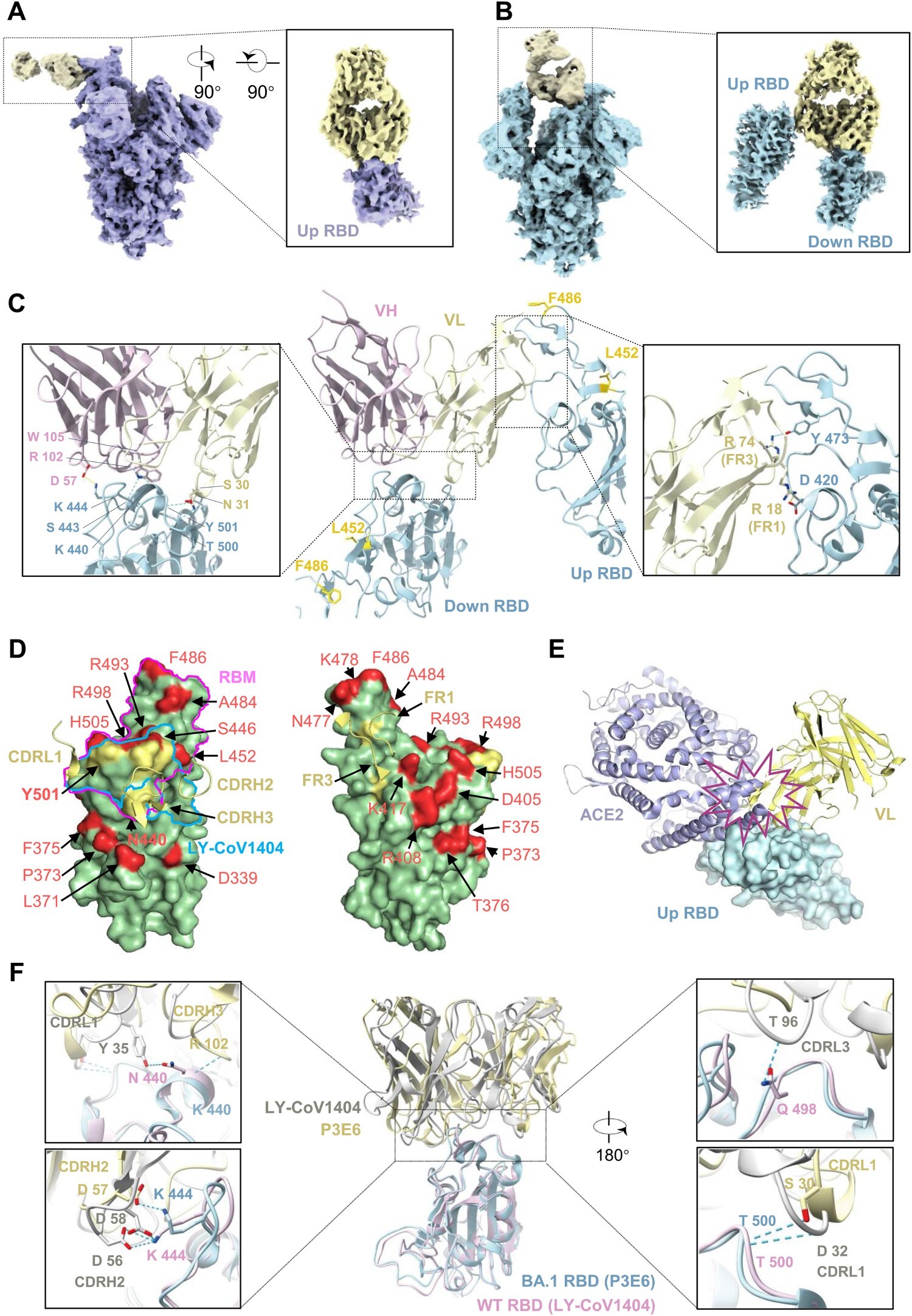 Cryo-EM facility – Division of Life Science, HKUST