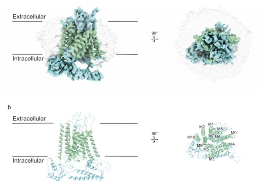 Cryo-EM facility – Division of Life Science, HKUST