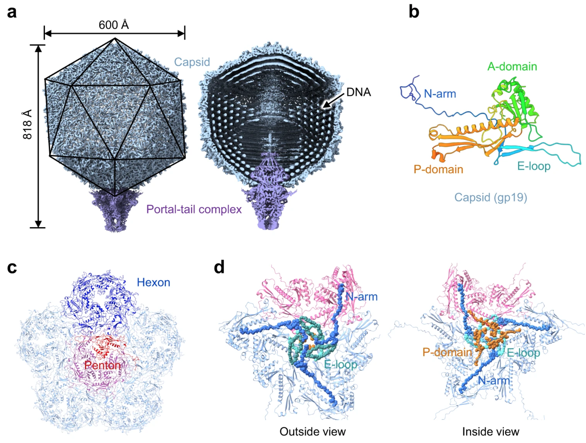 Cryo-EM facility – Division of Life Science, HKUST