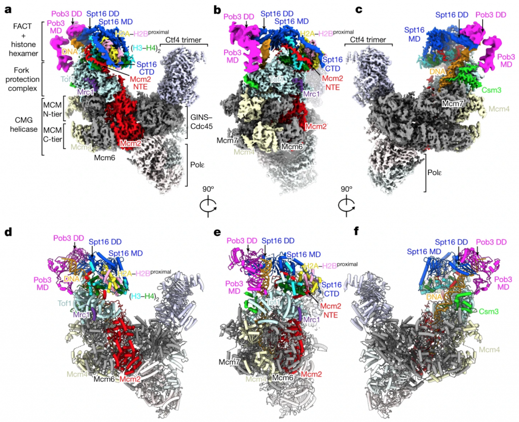 Cryo-EM facility – Division of Life Science, HKUST