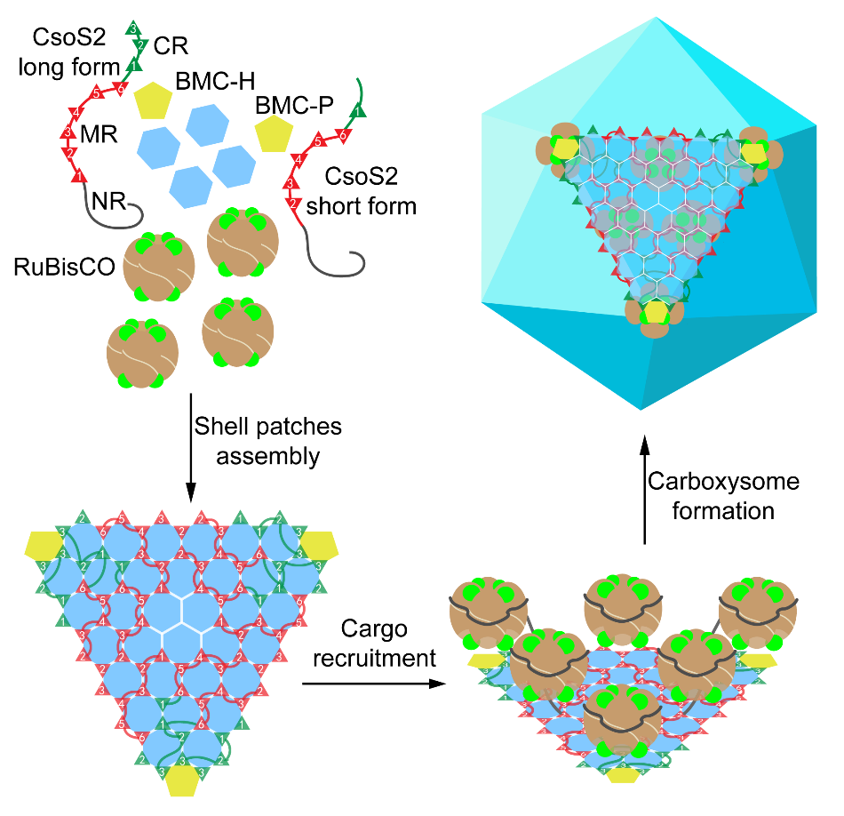 Cryo-EM facility – Division of Life Science, HKUST