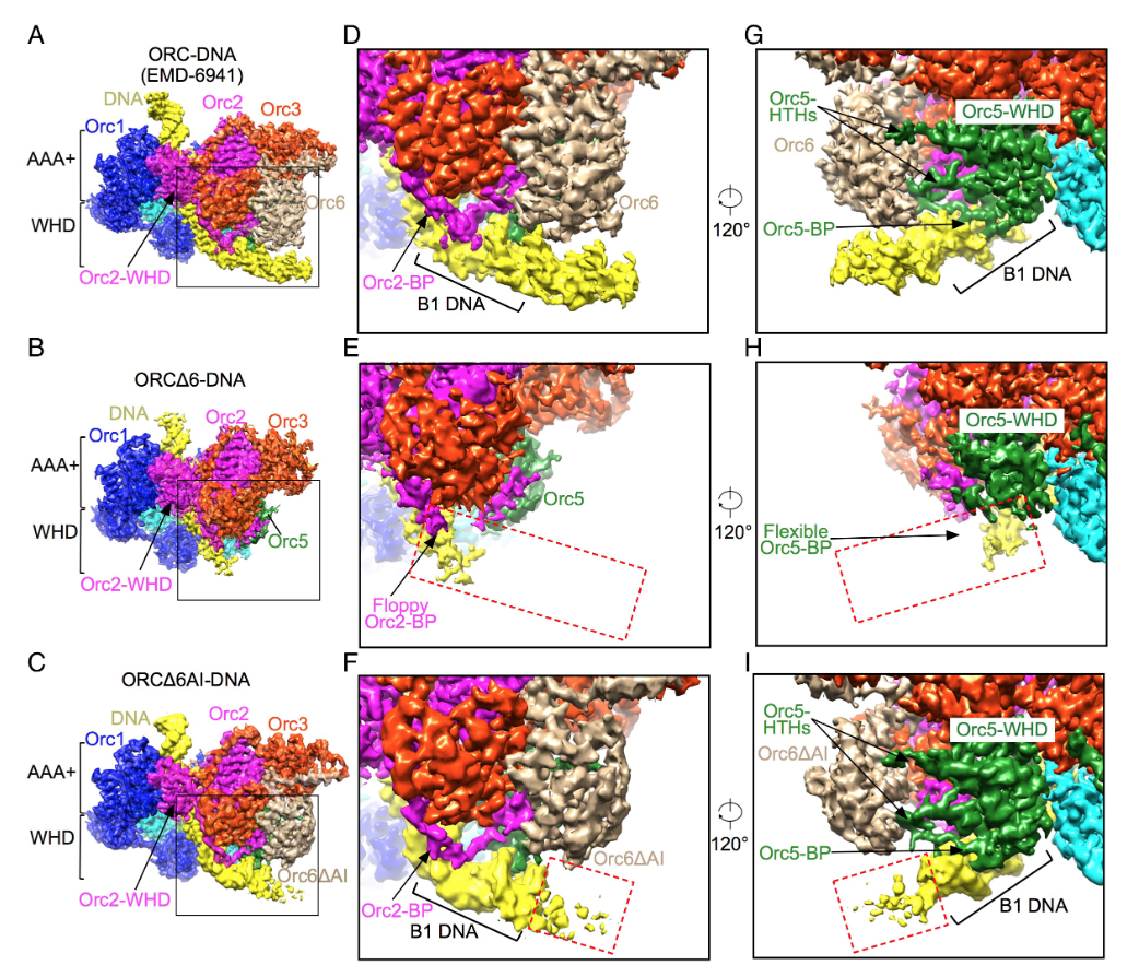 News & Events – Cryo-EM facility